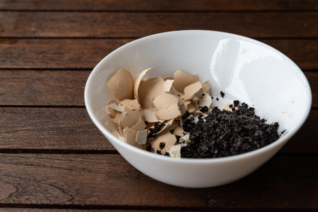 Food Waste Disposal: Things to Remember